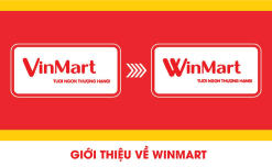 Winmart - Chuỗi siêu thị hàng đầu Việt Nam